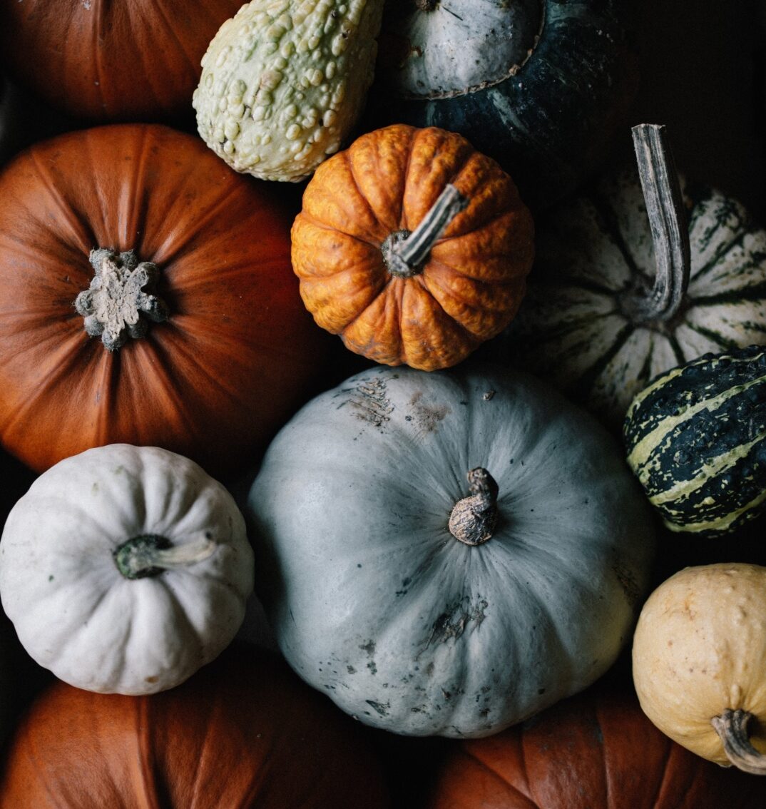 Sveriges Privatgynekologer - SFOG